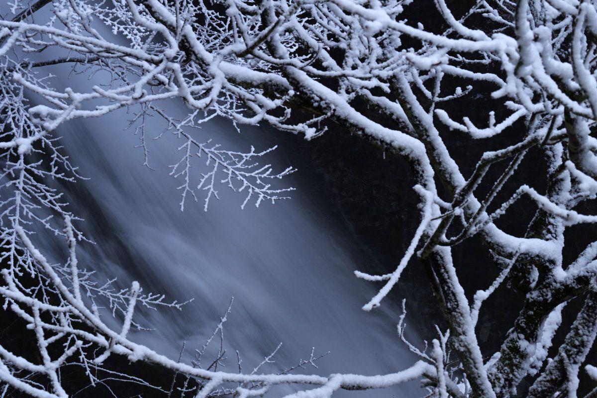 [ニコン Z8＆大三元レンズ] 第6章 － Z8を携え日光へ（作例編：初日） － | GANREF