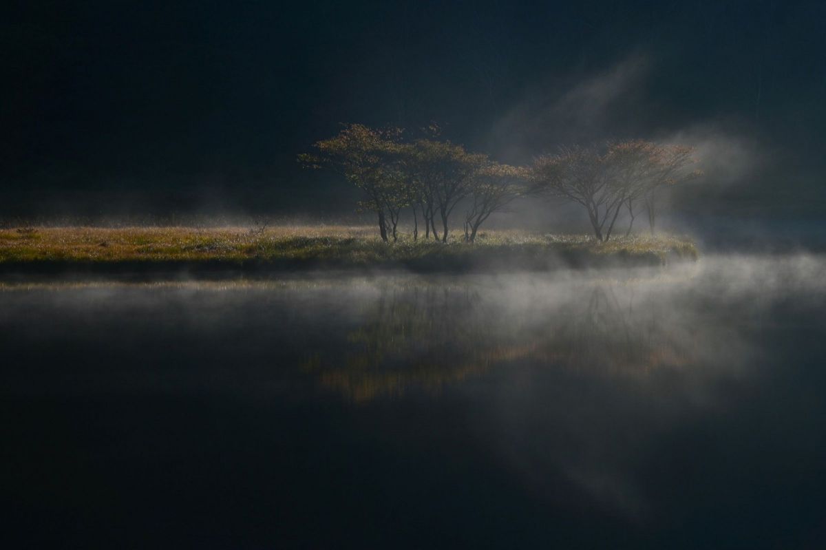 目覚める息吹 | GANREF