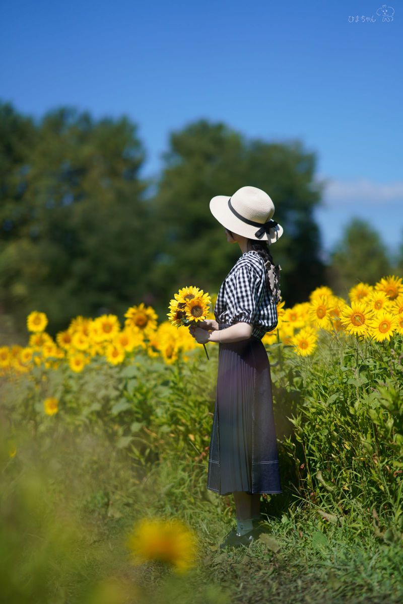 Pure Yellow | GANREF