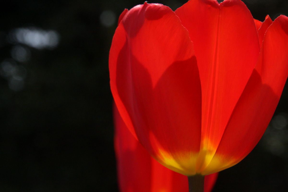 初夏を呼ぶ-02 | GANREF