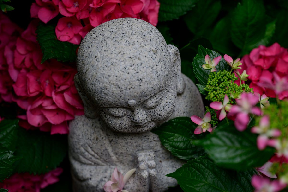 優しいお顔 | GANREF