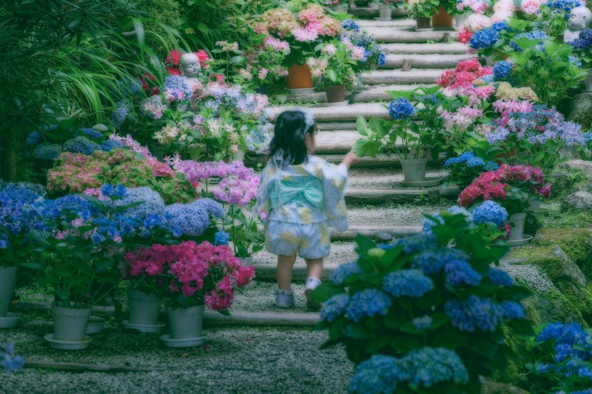 水無月の景 | GANREF