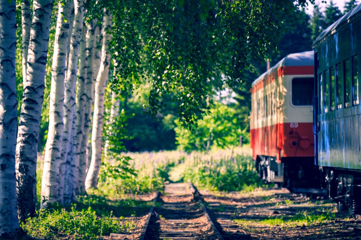 vanishing point | GANREF