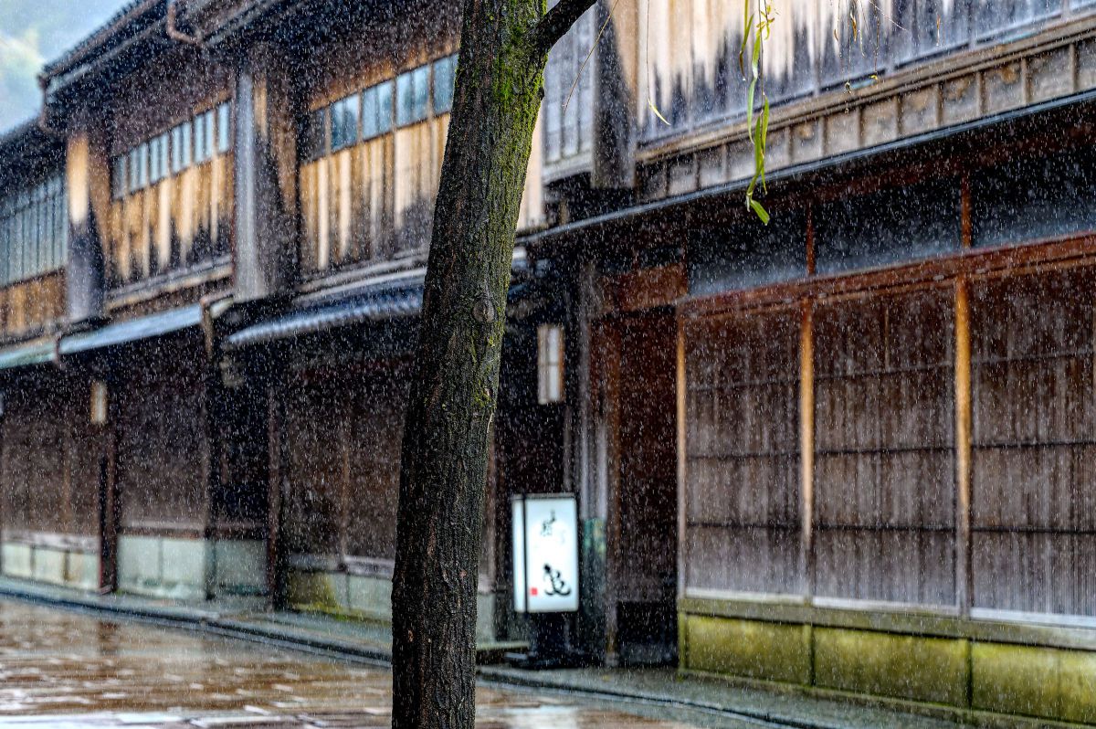 氷雨、そぼふる | GANREF