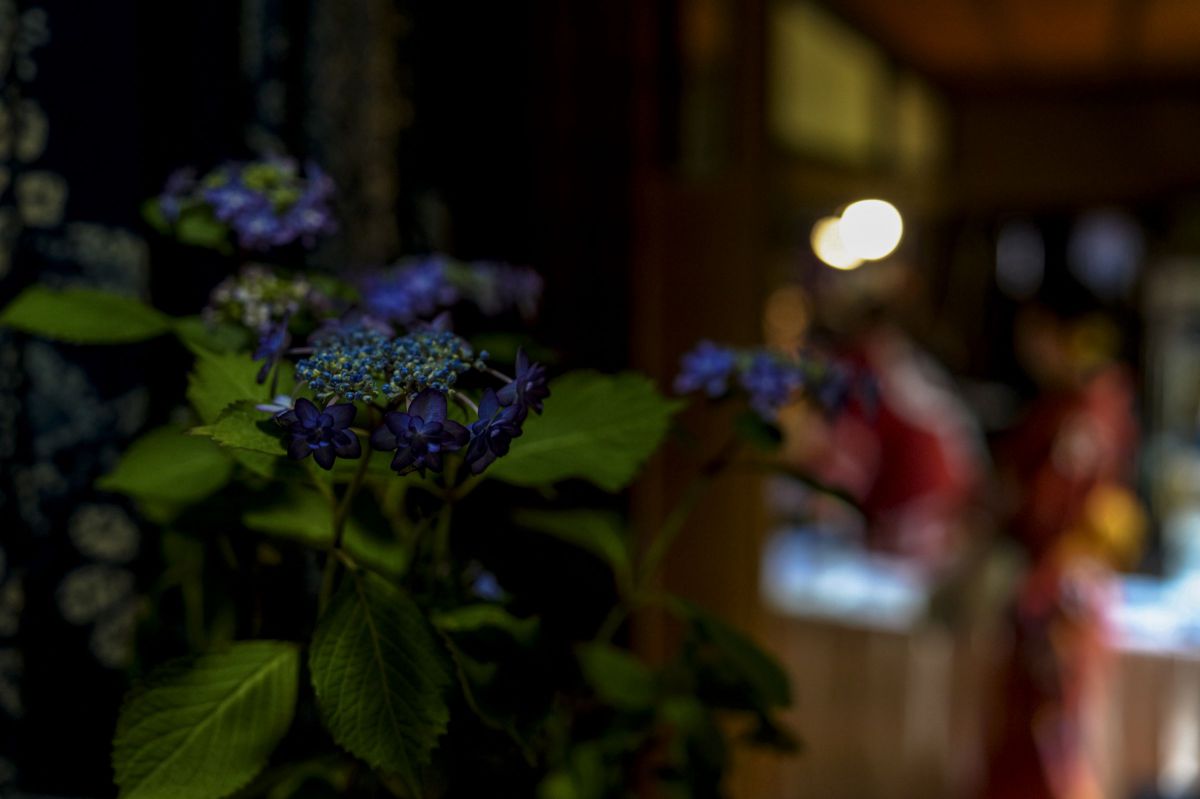 しつらえ.JPG | GANREF