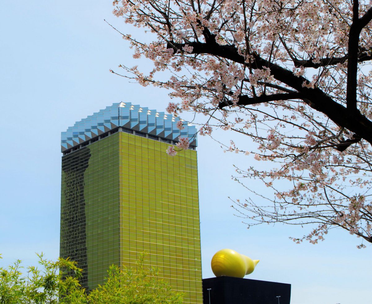 CUBEツリー | GANREF