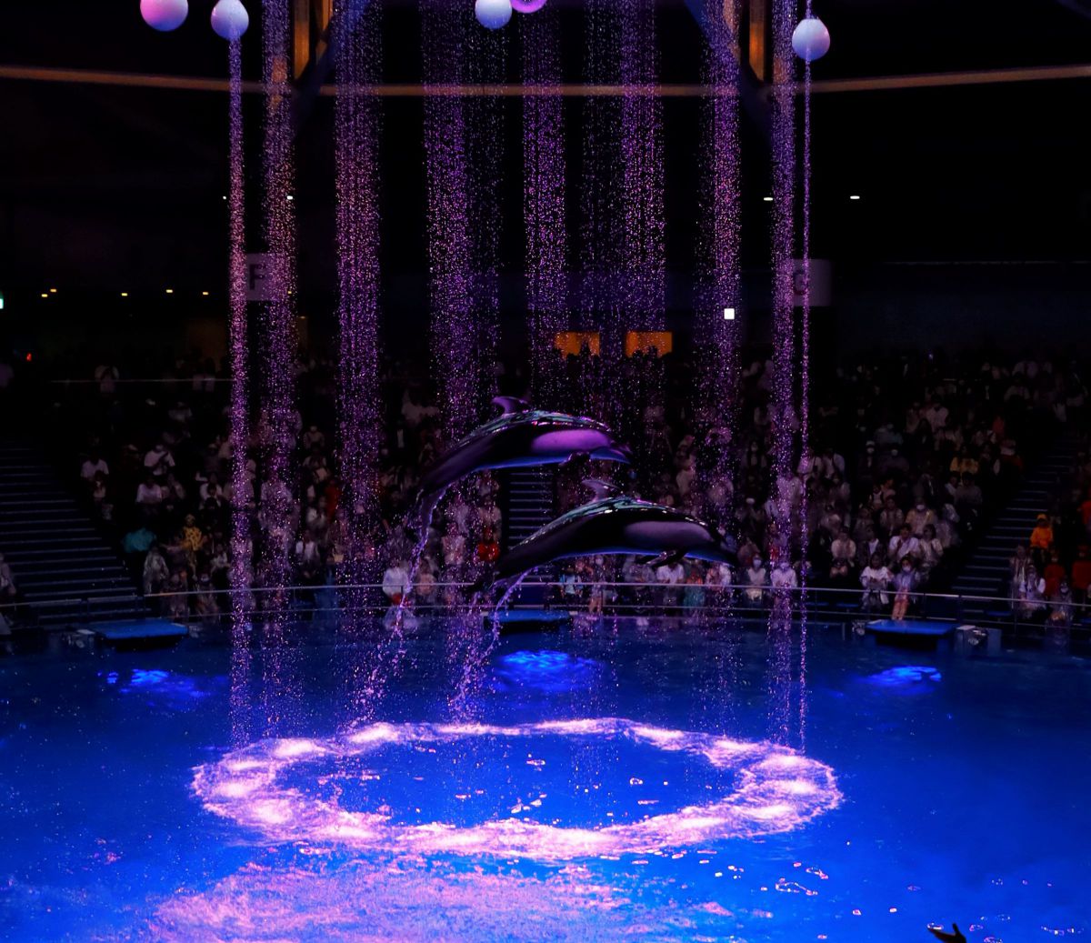 ツインジャンプ | GANREF