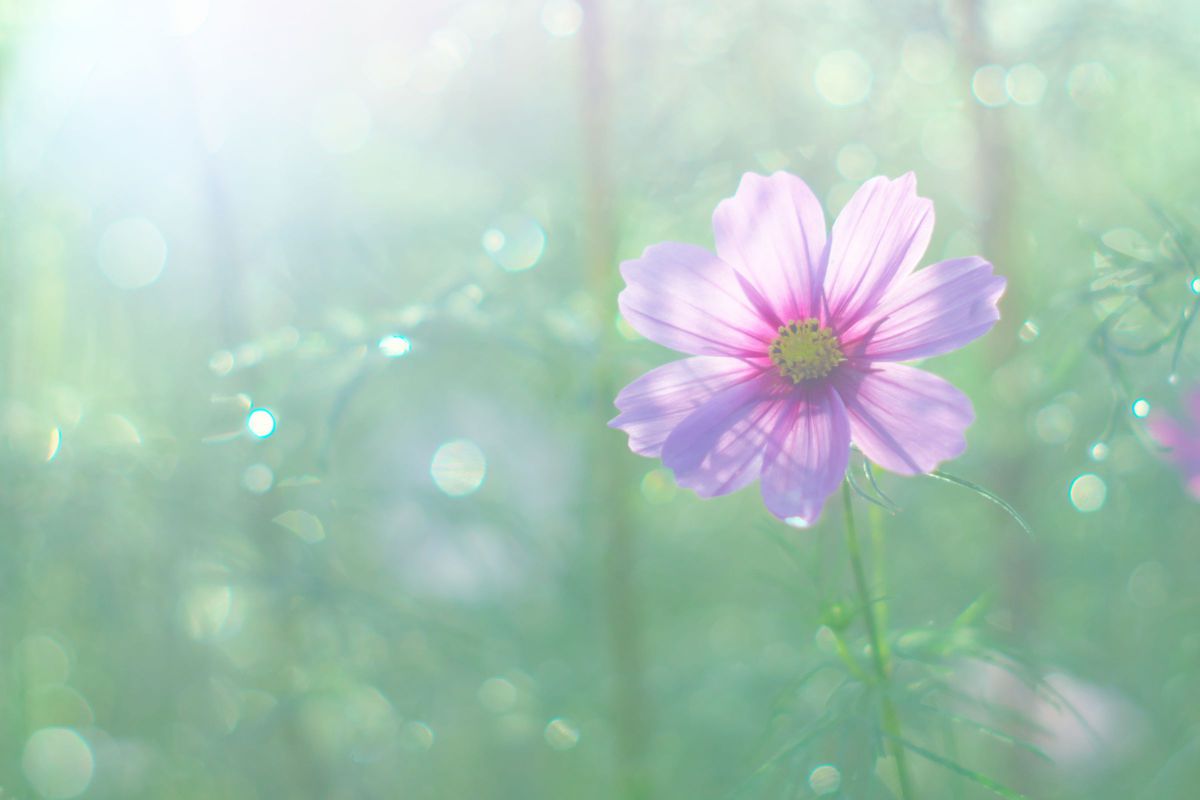 おはよー！！ | GANREF