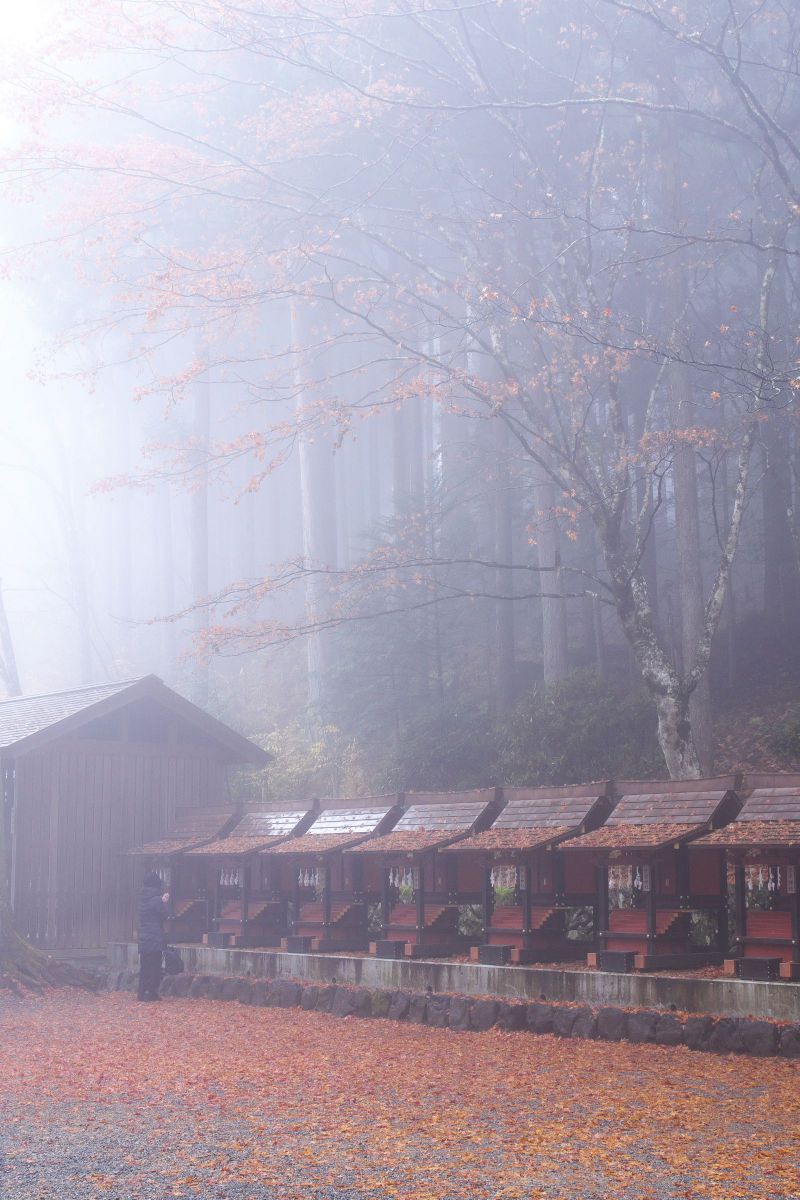 切々と願う | GANREF