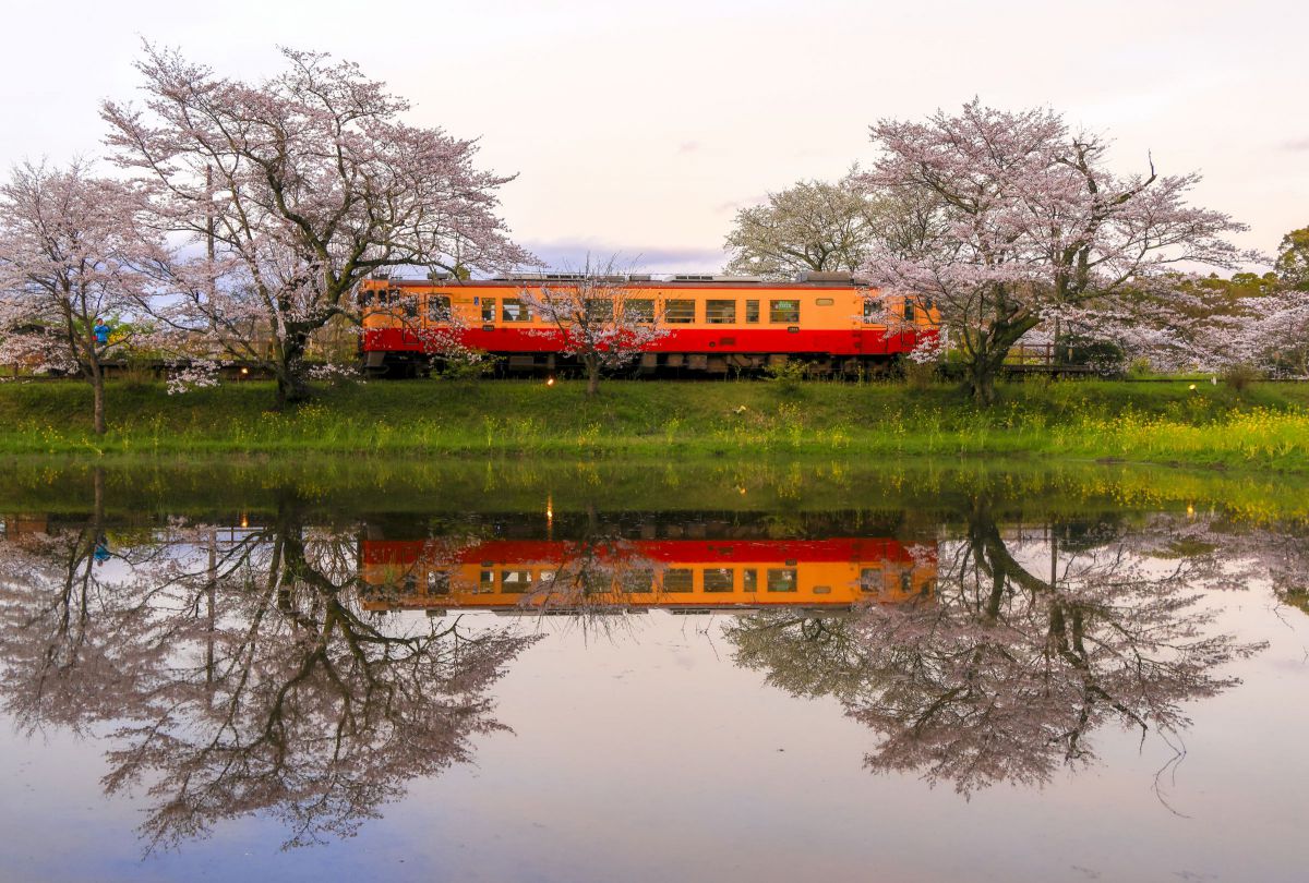 ほんのりピンク色 | GANREF