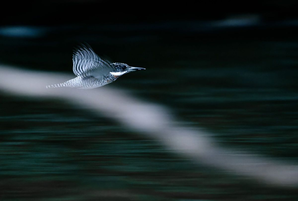 闇を切り裂く | GANREF