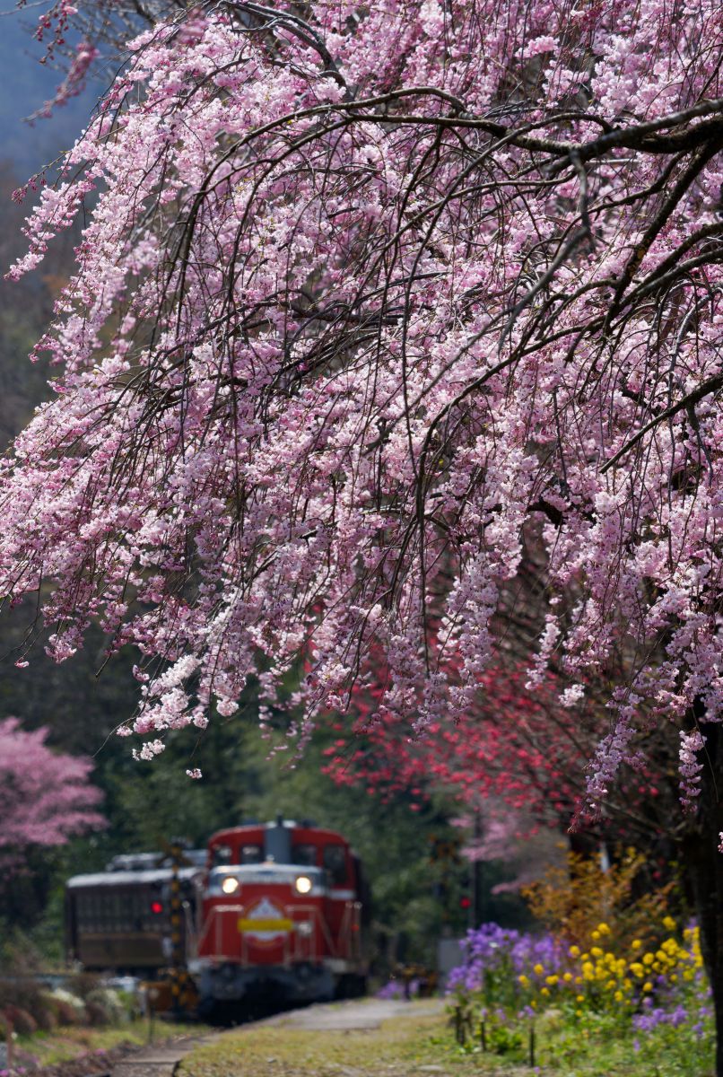 ヤッターワン | GANREF