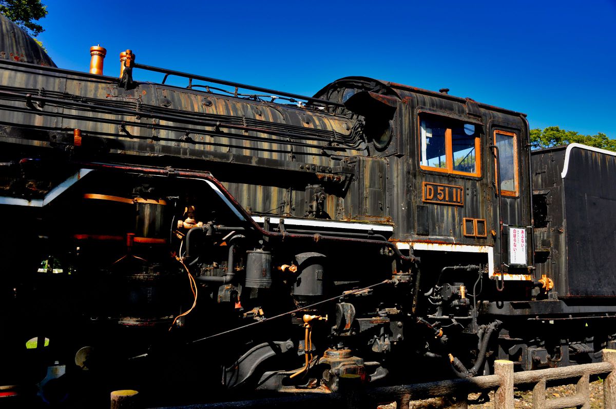 農試公園のD51 2 | GANREF