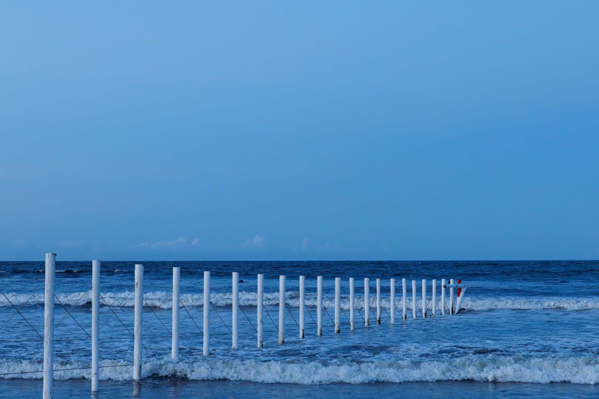 Silent Blue | GANREF