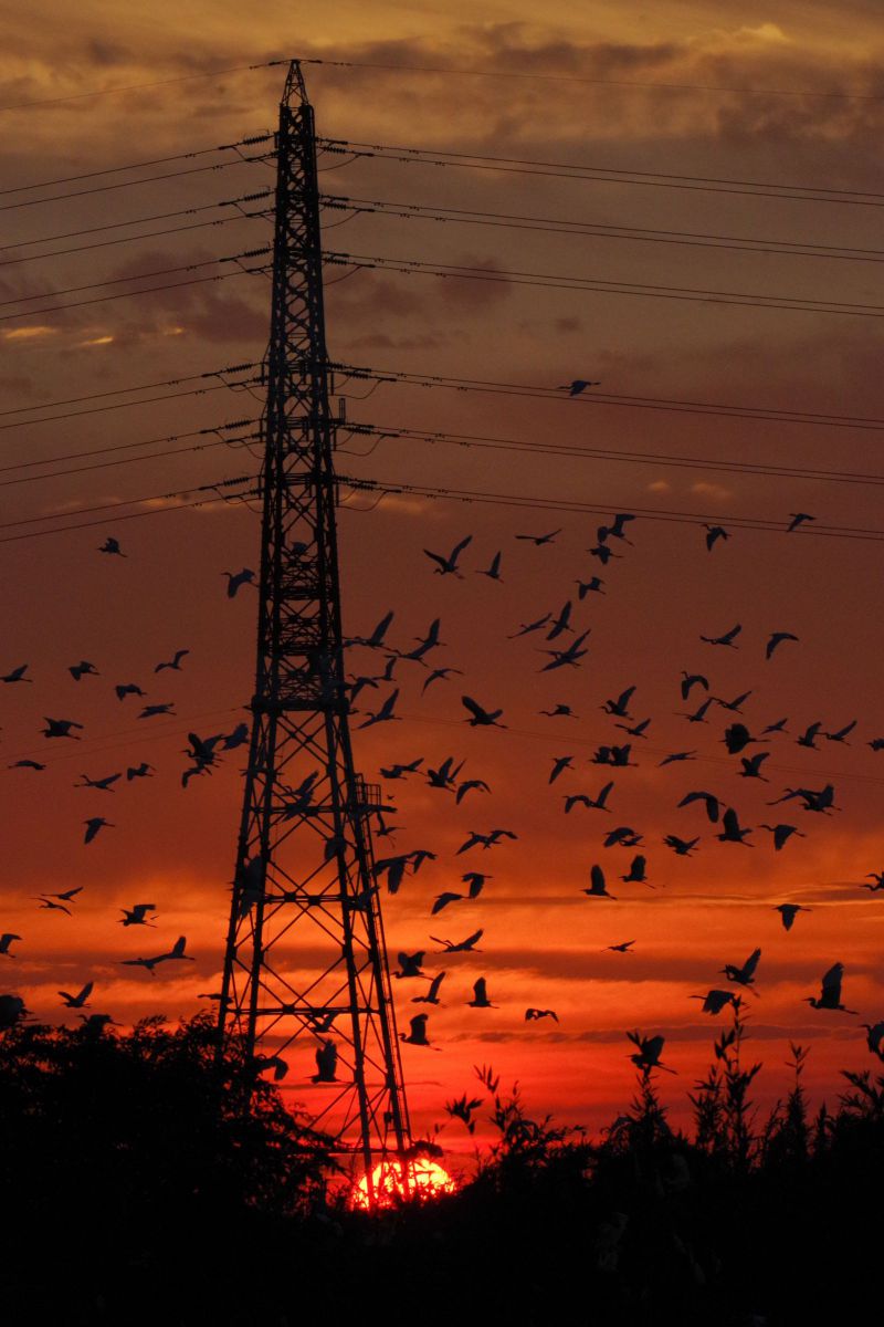 Evening rush hour in heonry | GANREF