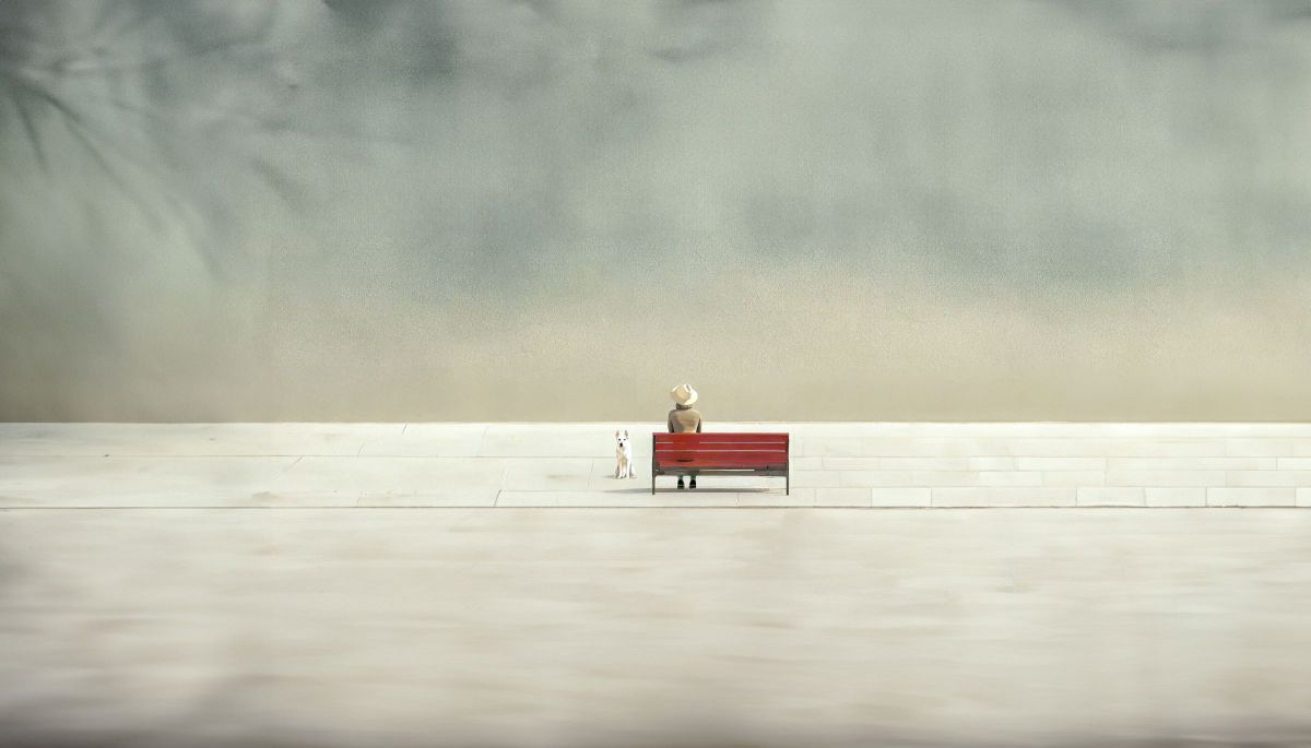 シロと散歩 | GANREF