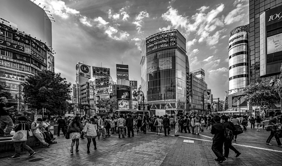 2013 SIBUYA | GANREF