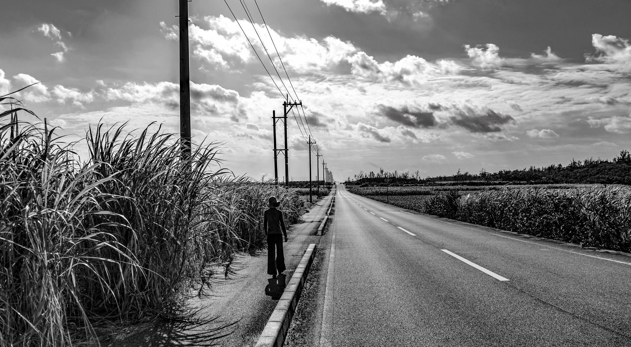 ざわわ・・風が通り抜ける | GANREF