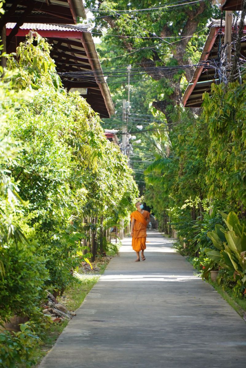 A short break 緑の仏道・小道で | GANREF
