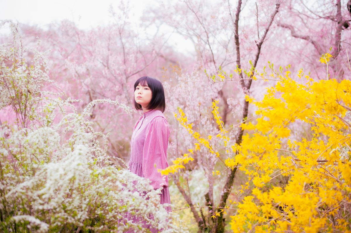 DSC_6684.jpg | GANREF