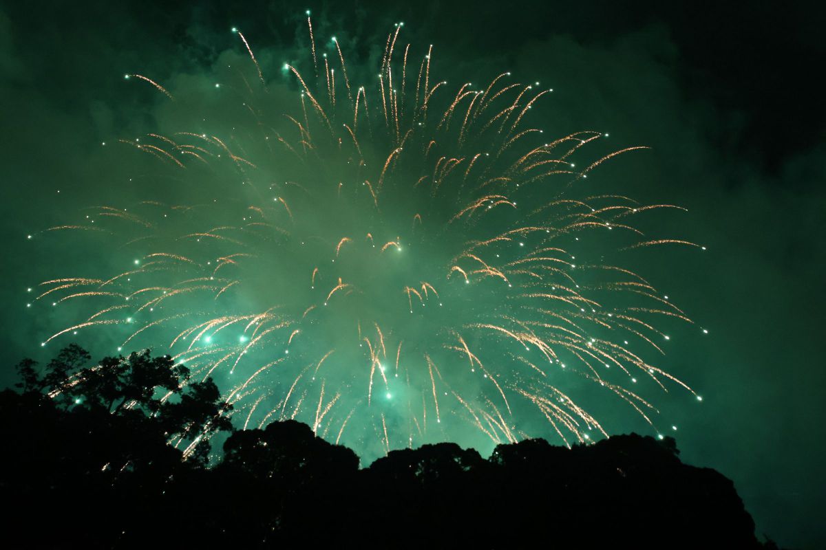 花火(「52weeks」#10) | GANREF