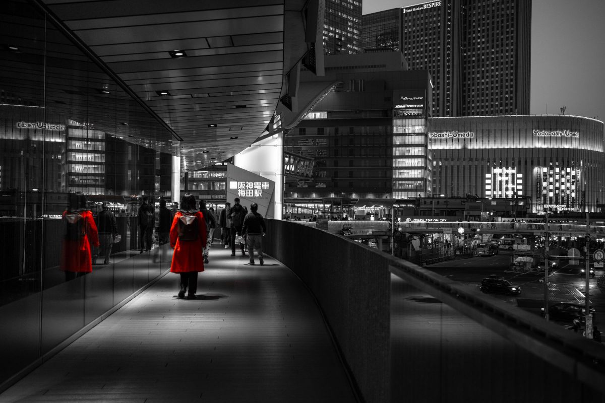 The Woman in Red | GANREF