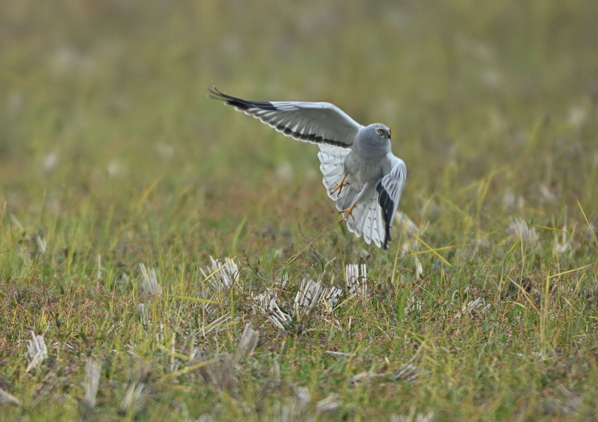 信州で出逢えました | GANREF