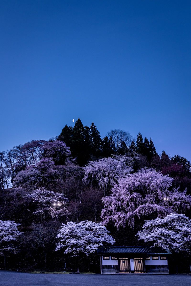 夜明け前 | GANREF