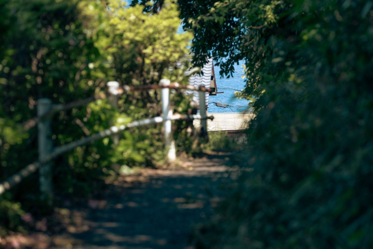 海へ続く道 | GANREF