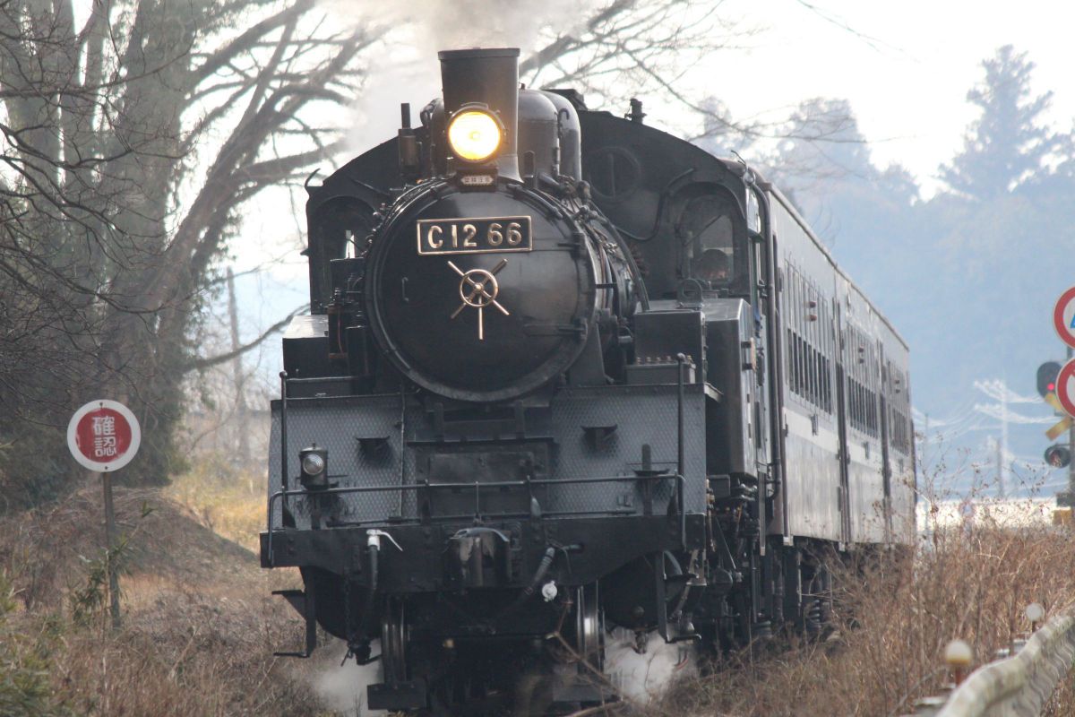 迫力満点 | GANREF