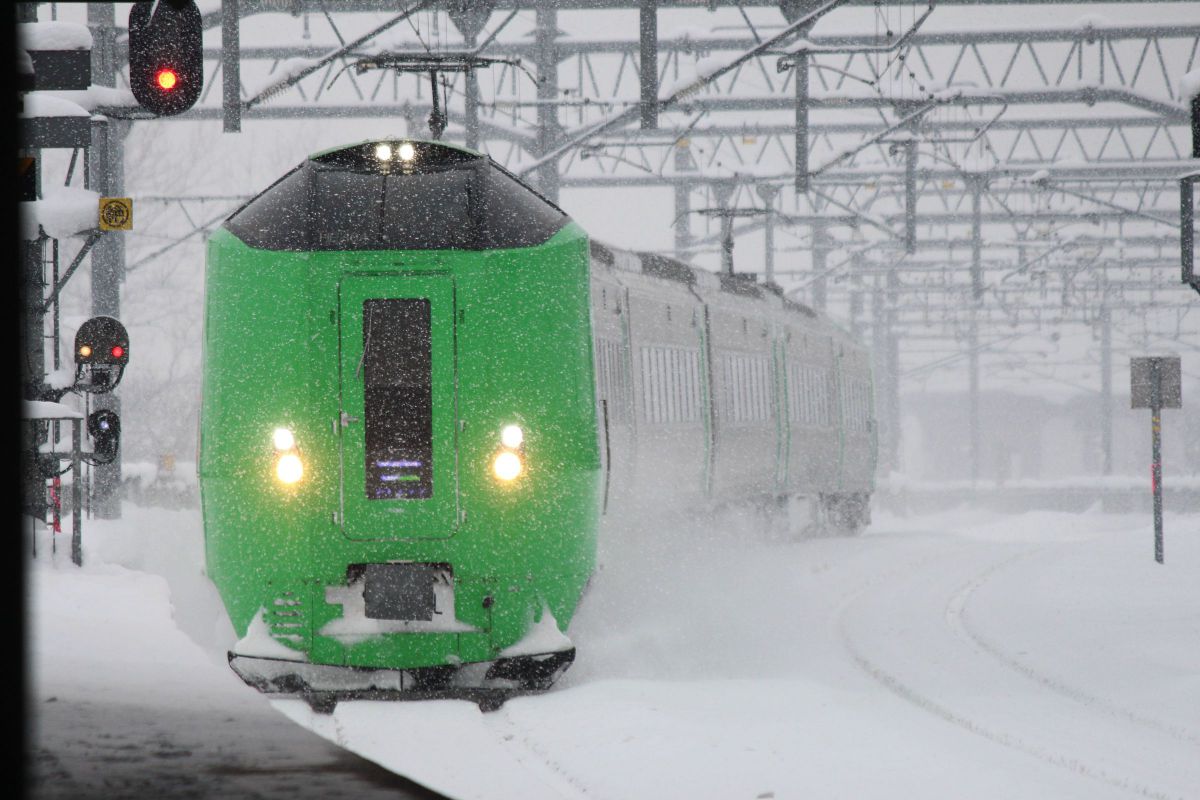 ライラック | GANREF