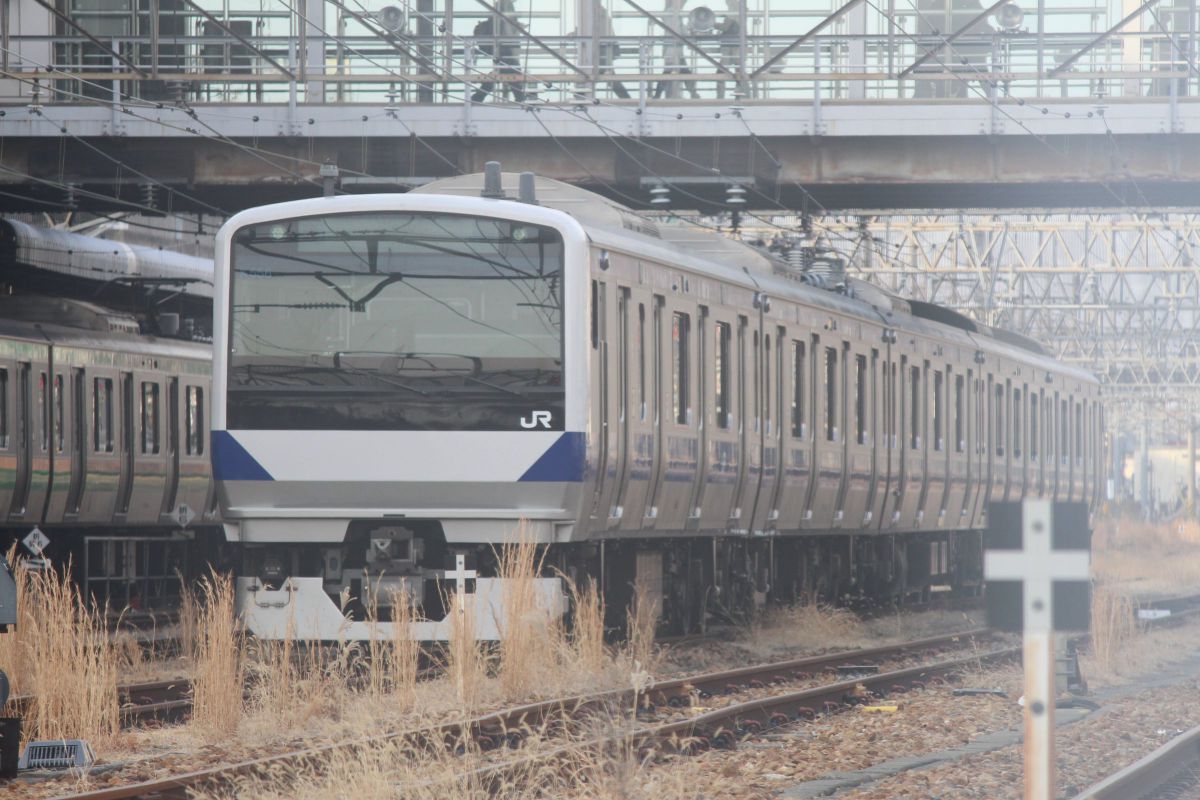 昼間のうちはのんびりと | GANREF