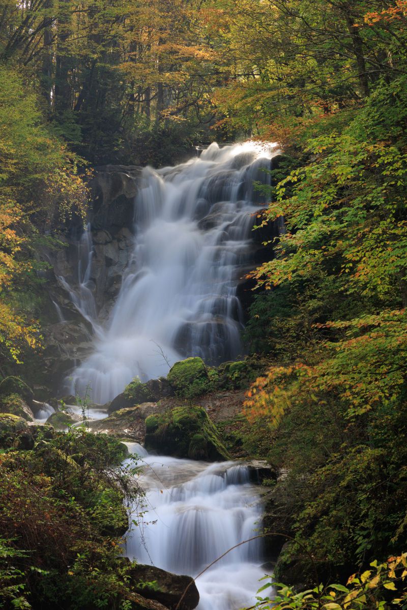 色づき始め | GANREF