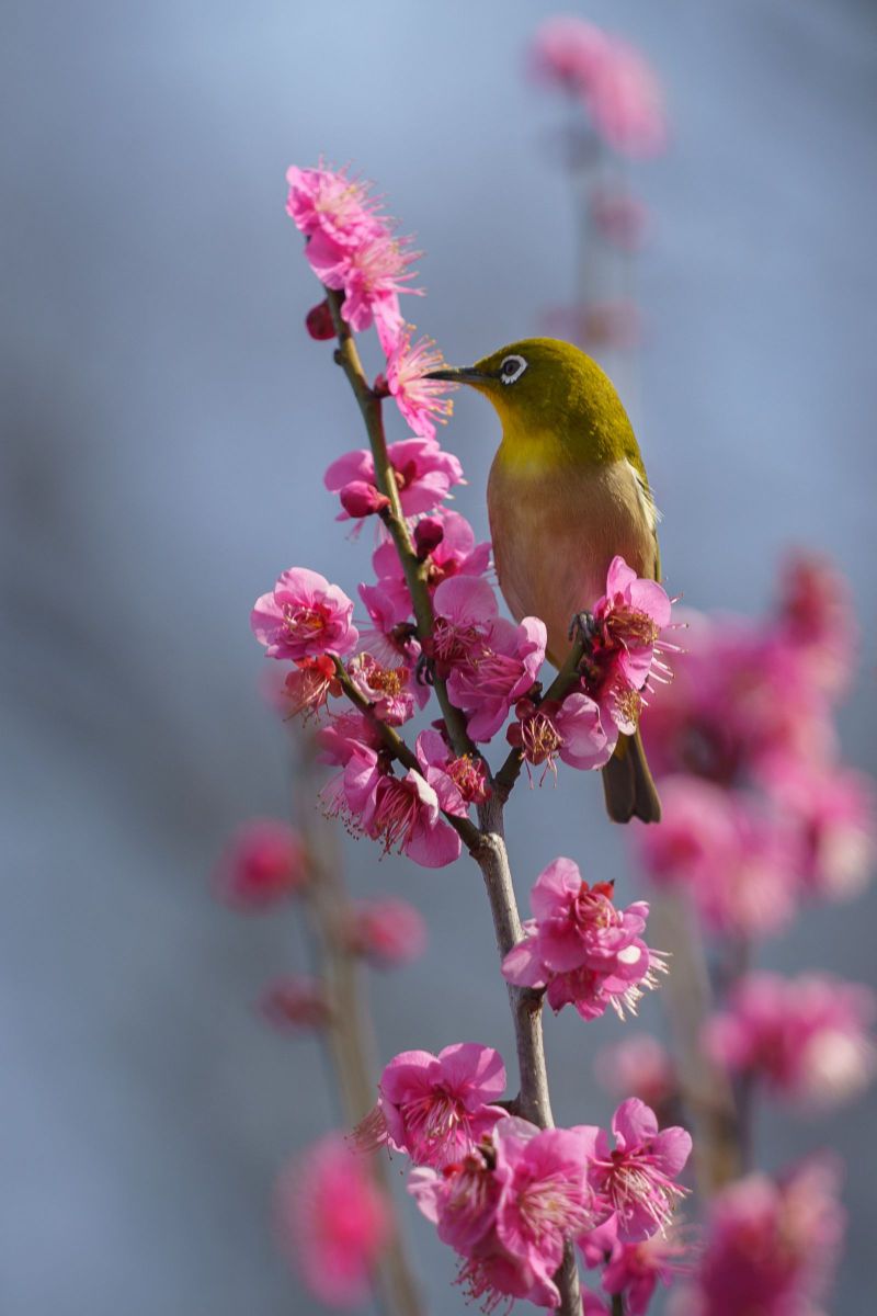 Waiting for Spring | GANREF