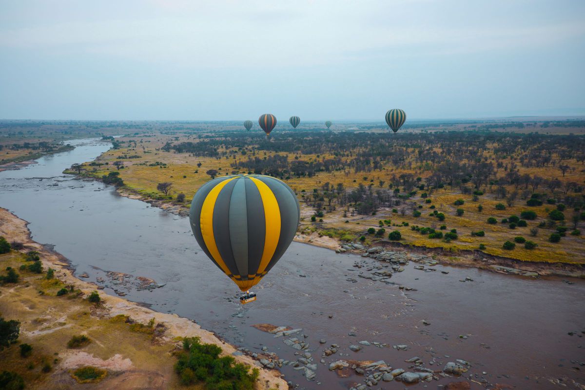 Serengeti Fantasy | GANREF