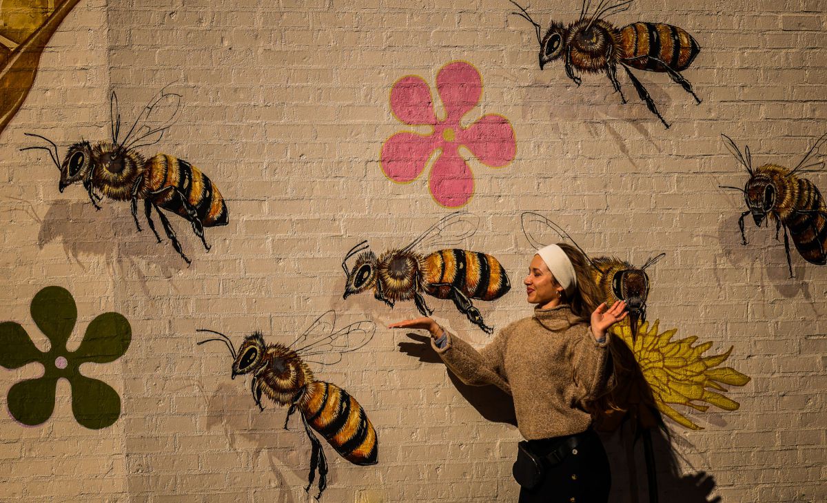 Friendly bees | GANREF