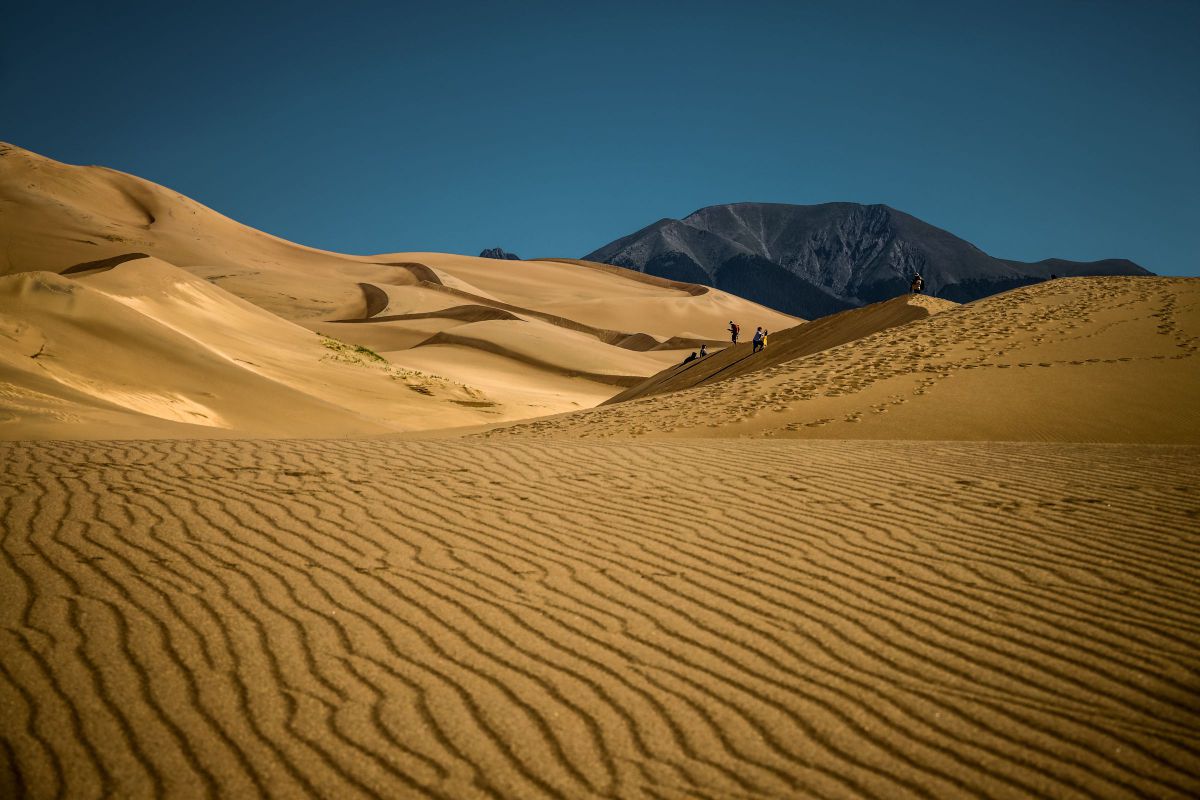 Planet Dune | GANREF