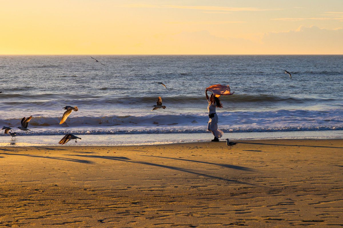 Flight - Beginner Class | GANREF