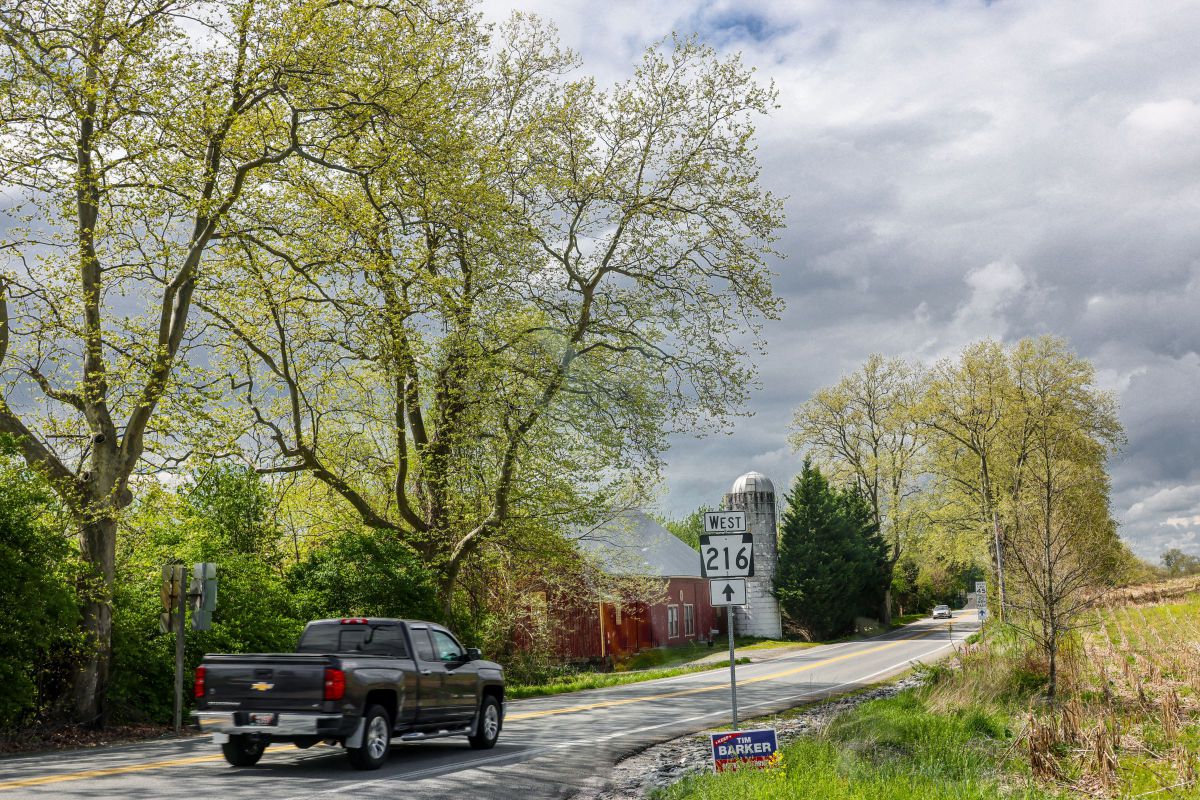 Spring country road | GANREF