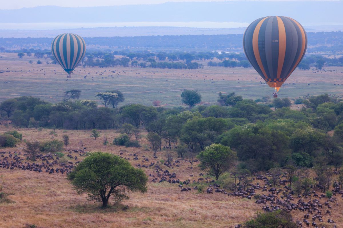 Tanzania Fantasy | GANREF
