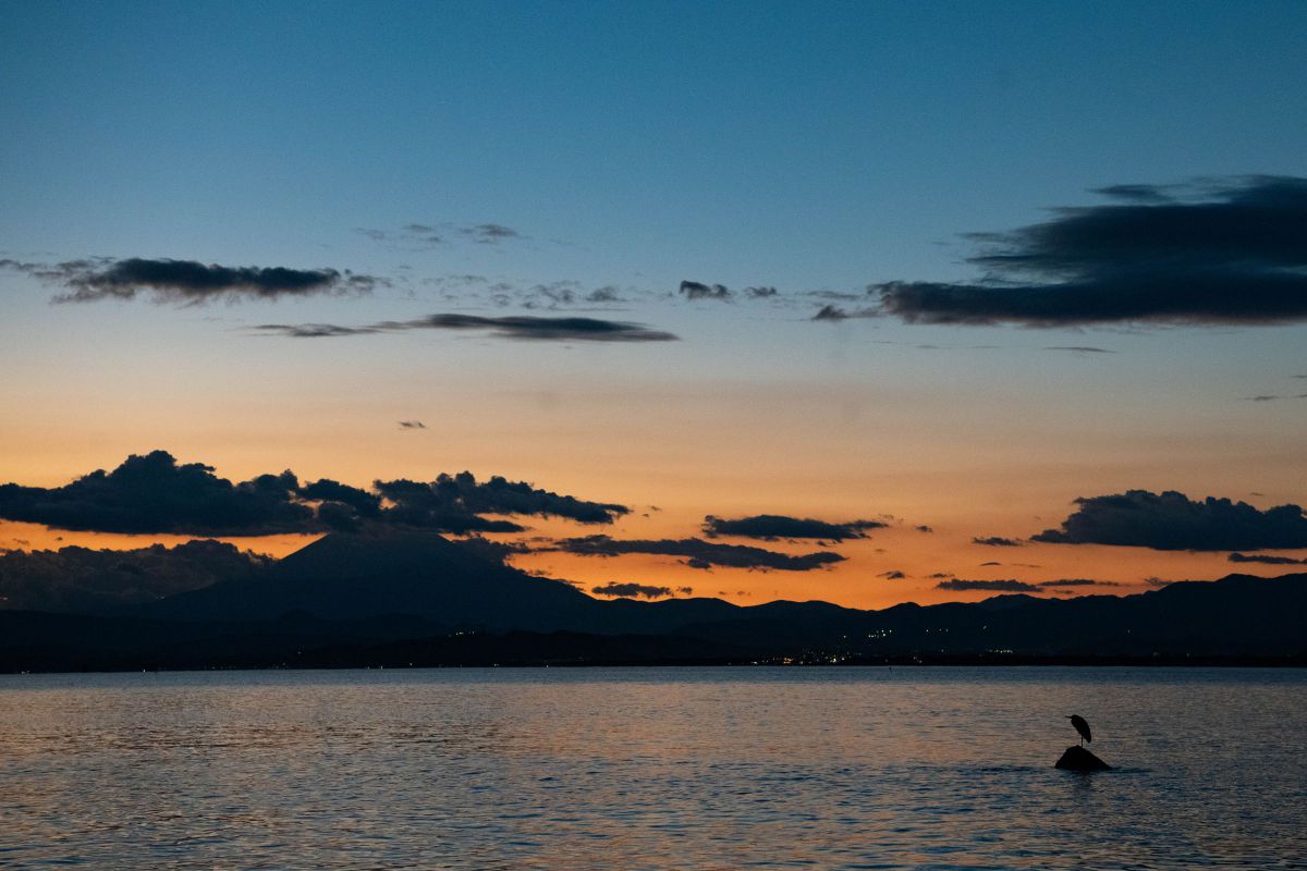 江の島にて | GANREF