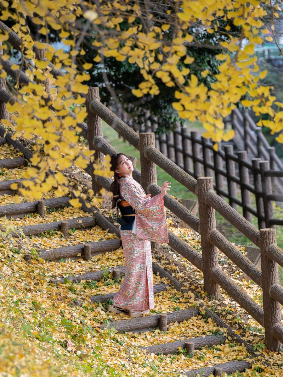 秋を愛でる | GANREF