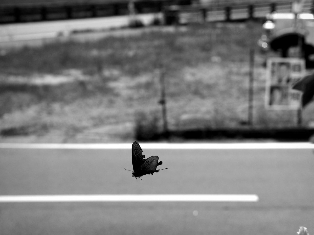 黒服 -cool spy- | GANREF