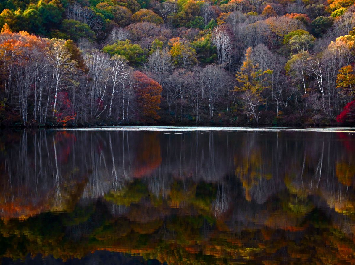 Parallel world | GANREF