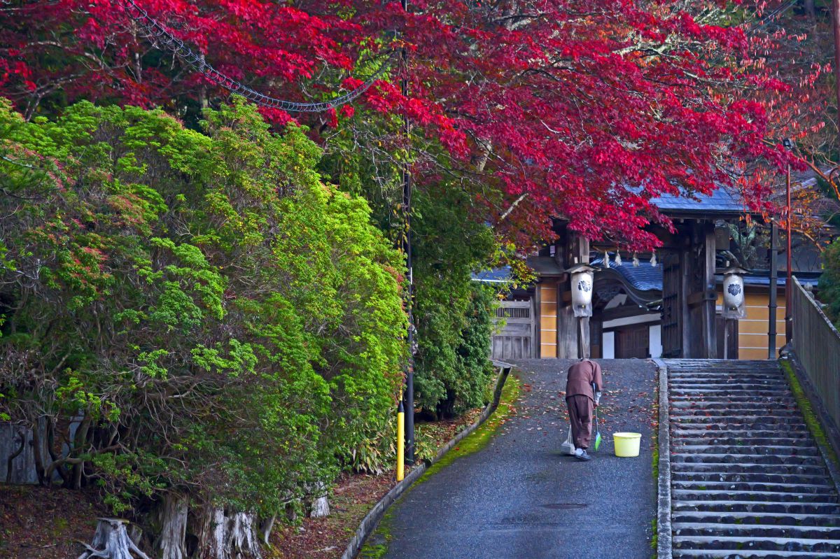 2024 高野山の秋 | GANREF
