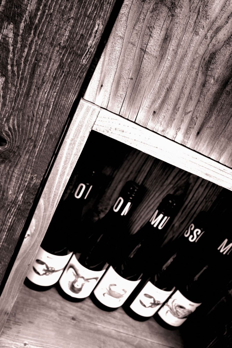 Hidden Bottles | GANREF