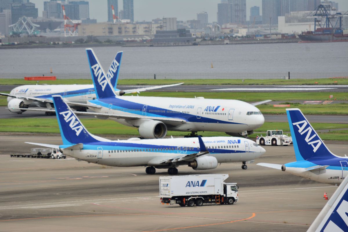 ANAだらけ | GANREF