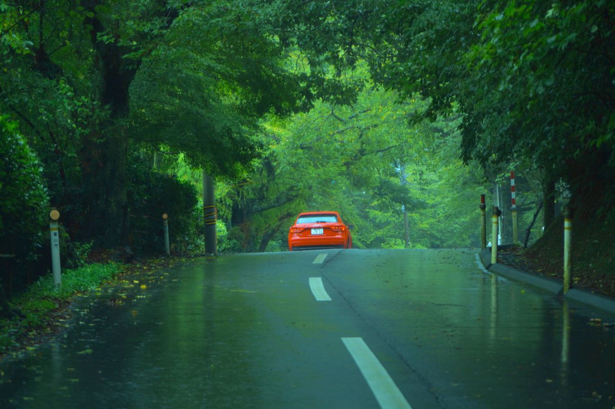 rainy winding road | GANREF