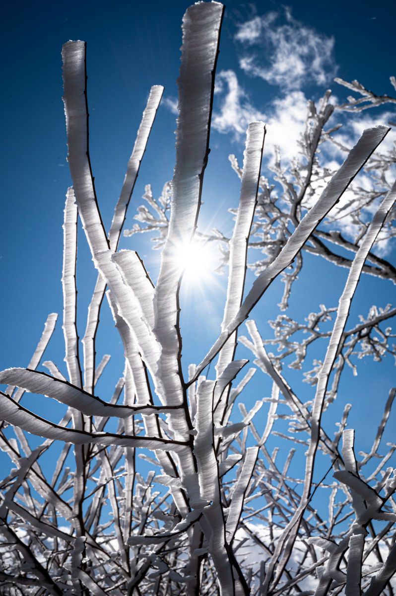 Sword of Ice | GANREF