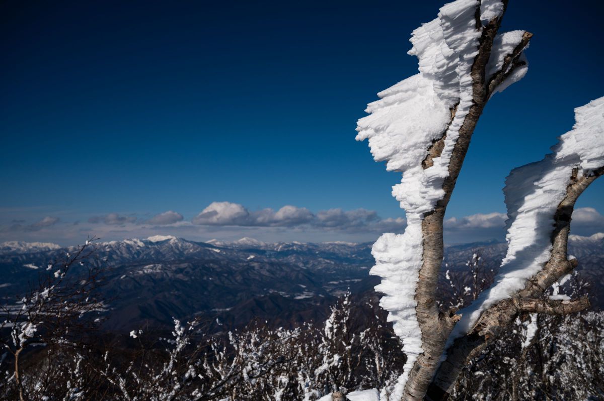 山頂のFLAG | GANREF